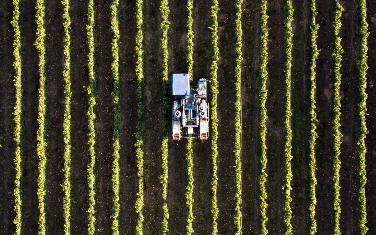 Labour Exploitation in the Austrian Agricultural Sector - Hope for the ...